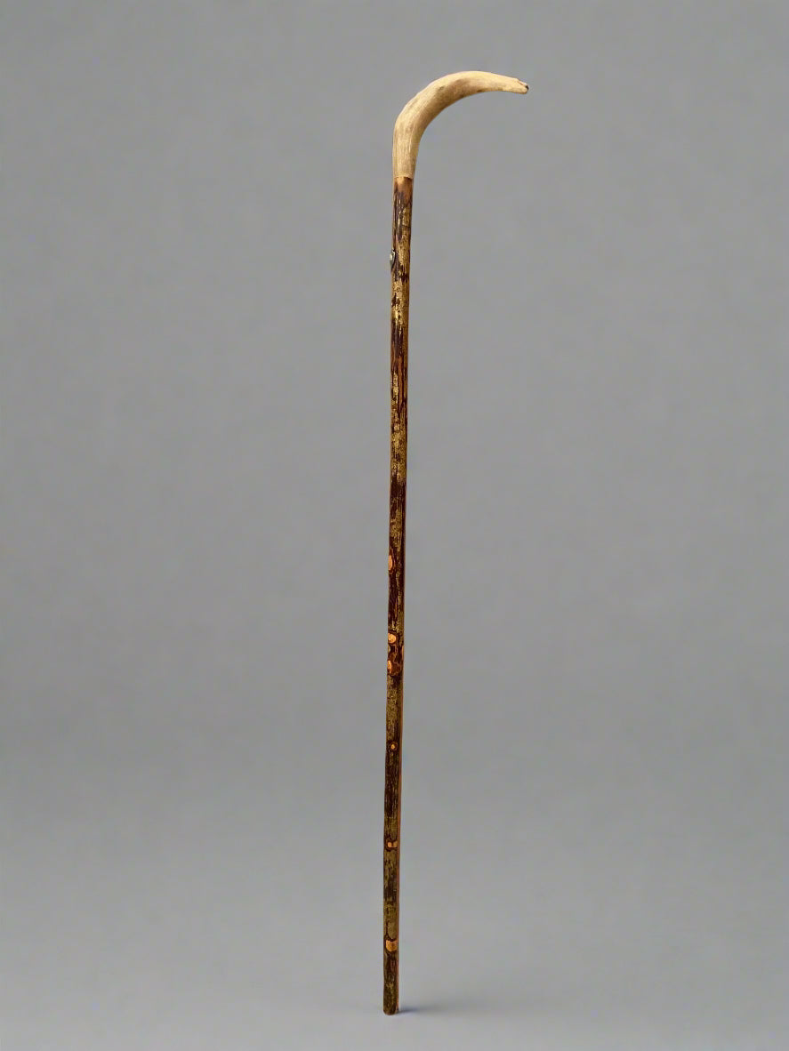 Wood Holly Walking Stick – Ashwood Props